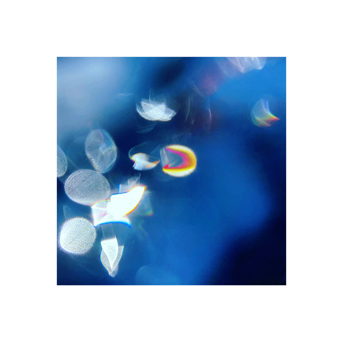 #049 cell selfie – WOWSPACESHOP